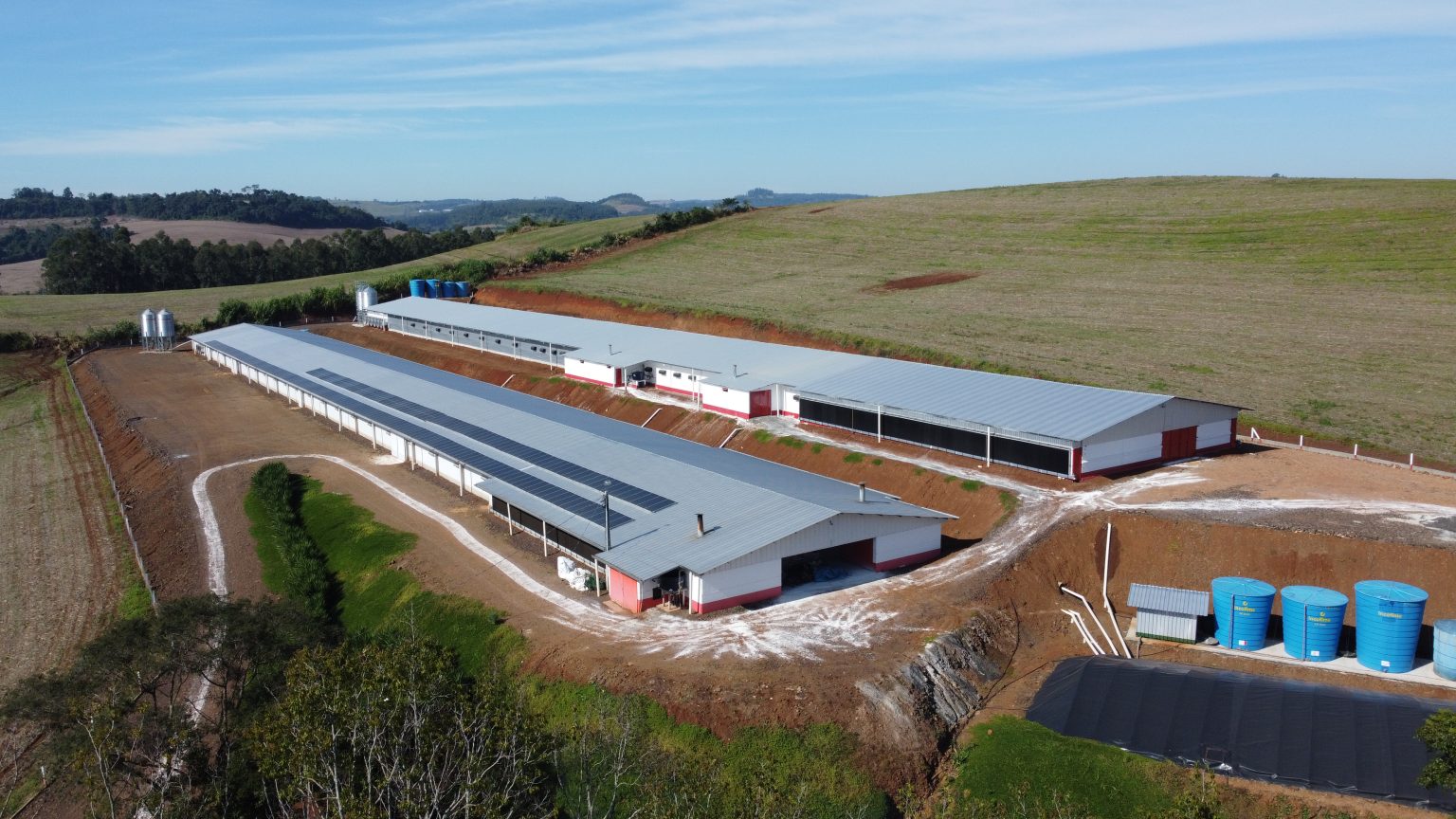 AVIÁRIO na Linha Cairu PADRÃO BRF - Metal Pré